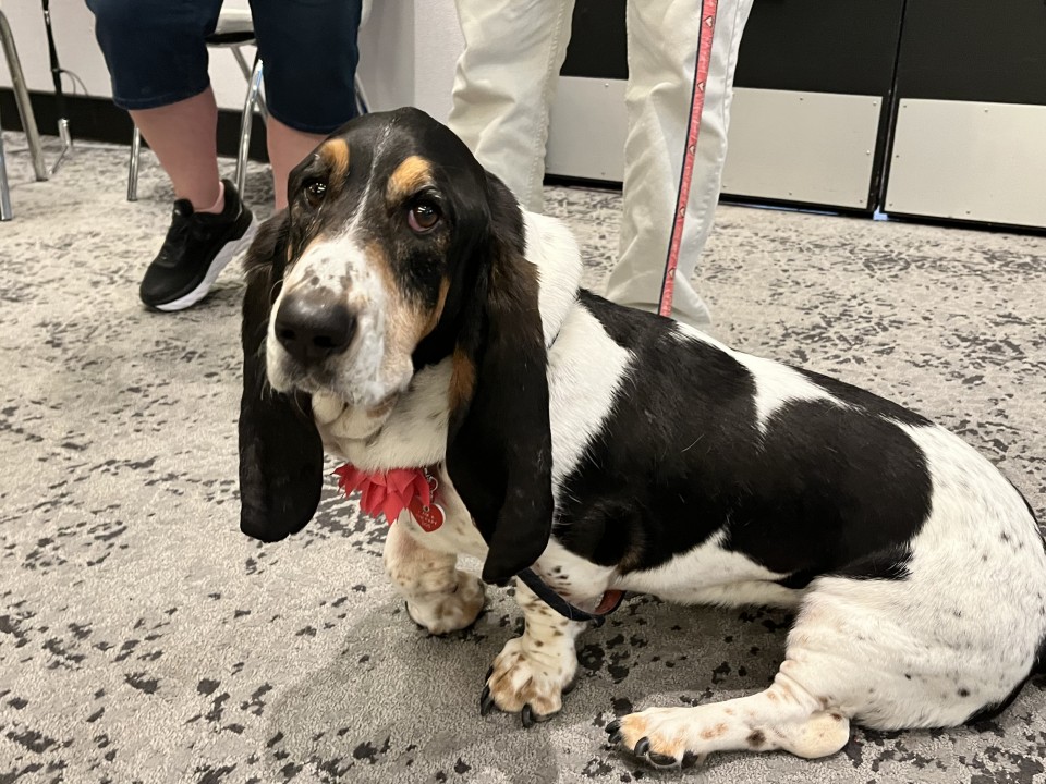 GBTA - North Central Chapter